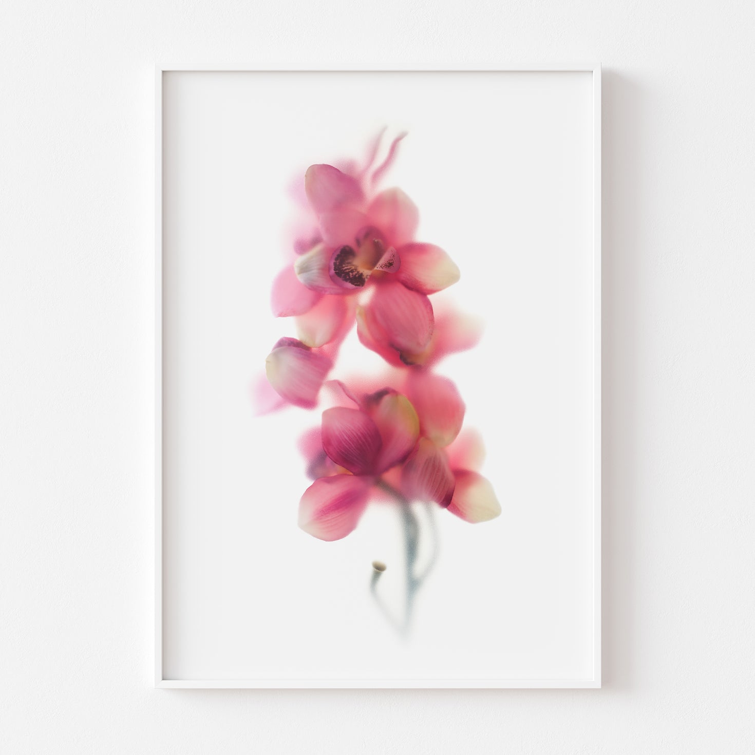 Pink orchids floral art print for modern home | Flora Rozita