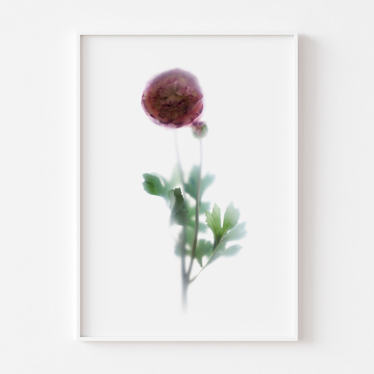 Flora Impressions floral art prints by Marina Papaspirou | Flora Rozita